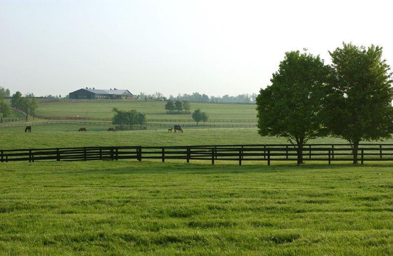 Hidden Brook Kentucky Boarding - Hidden Brook Farm