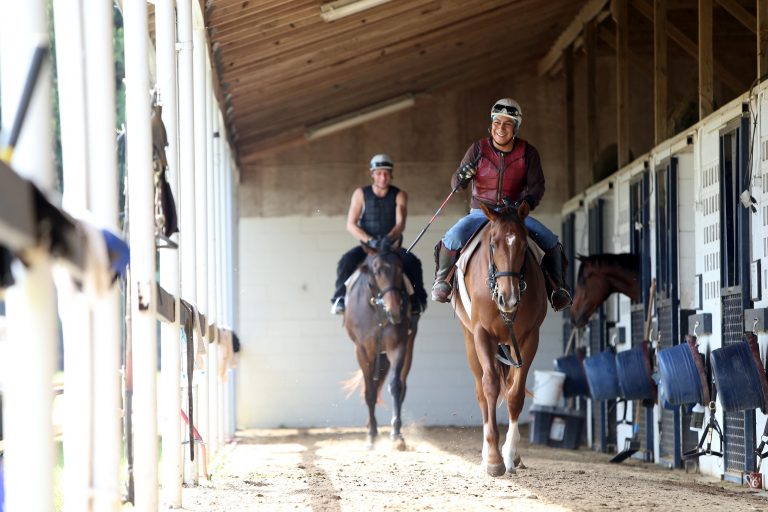 Hidden Brook Florida Training Division - Hidden Brook Farm